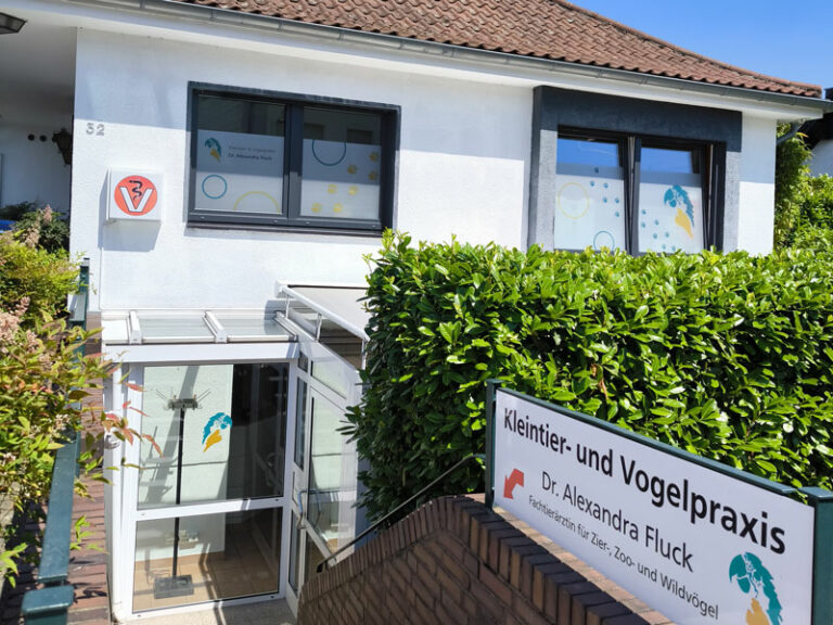 Home - Vogel- und Kleintierpraxis Dr. Alexandra Fluck